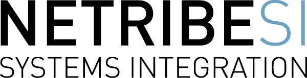 Netribe Systems Integration: Consulenza e Supporto Sistemi Informativi