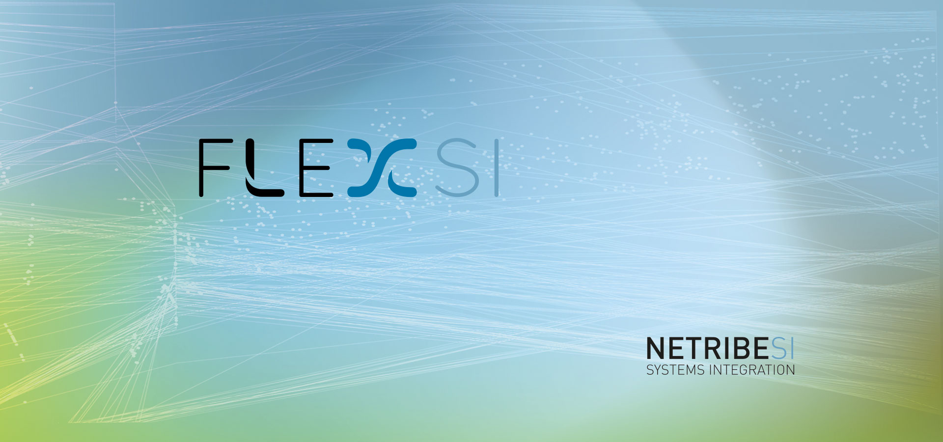 FLEXSI - Il basket di soluzioni e servizi per le infrastrutture e reti aziendali - Netribe Group